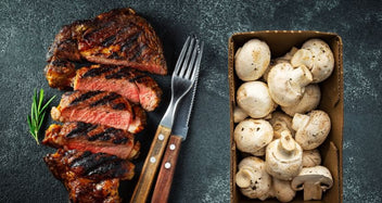 Explore the Protein Content in Mushrooms | Real Mushrooms