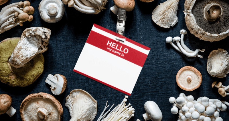 Mushroom Scientific Names: A Guide for Enthusiasts – Real Mushrooms