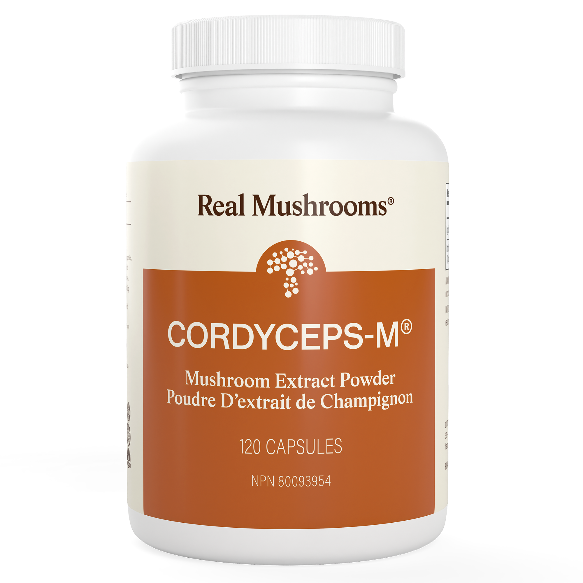 Cordyceps Capsules | Organic Cordyceps Extract Capsules – Real Mushrooms