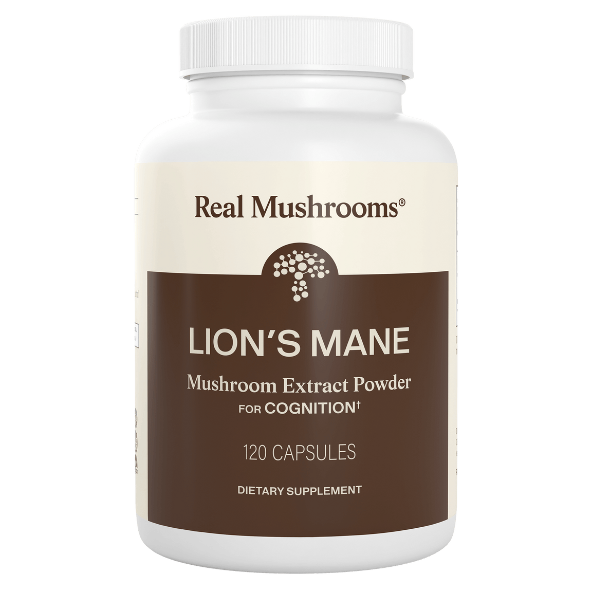 What is the Cordyceps Zombie Fungus? – Real Mushrooms