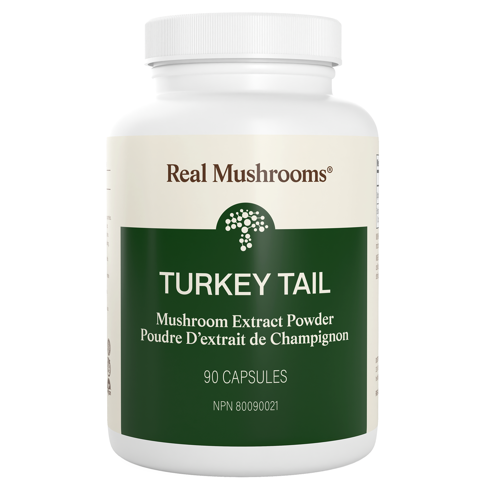 Best Turkey Tail Mushroom Supplements (2026) | Advanced MycoTech